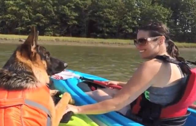 How to Kayak with a Dog - 8 Tips to Take Your Pooch Canoeing, Kayaking